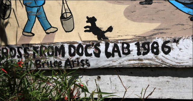 Bruce Ariss's Across from the Doc's Lab Mural | Tipsy from the TRIP