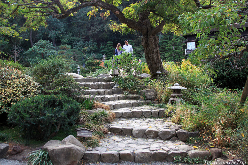 Fall color at Hakone Gardens, Saratoga | Tipsy from the TRIP